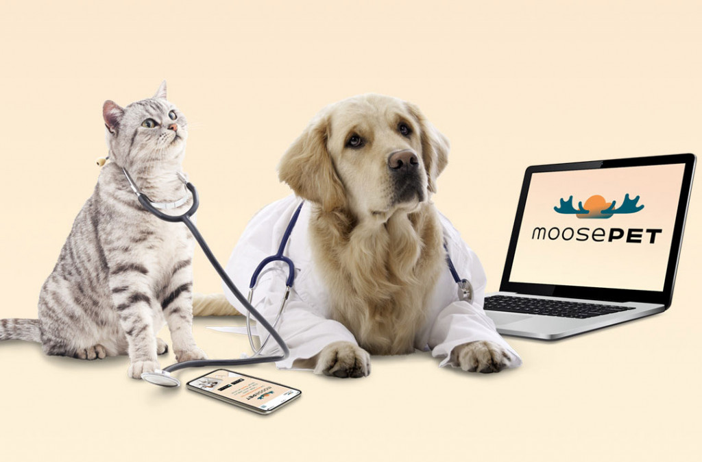 Netzwerk & App für Tiergesundheit – moosePET